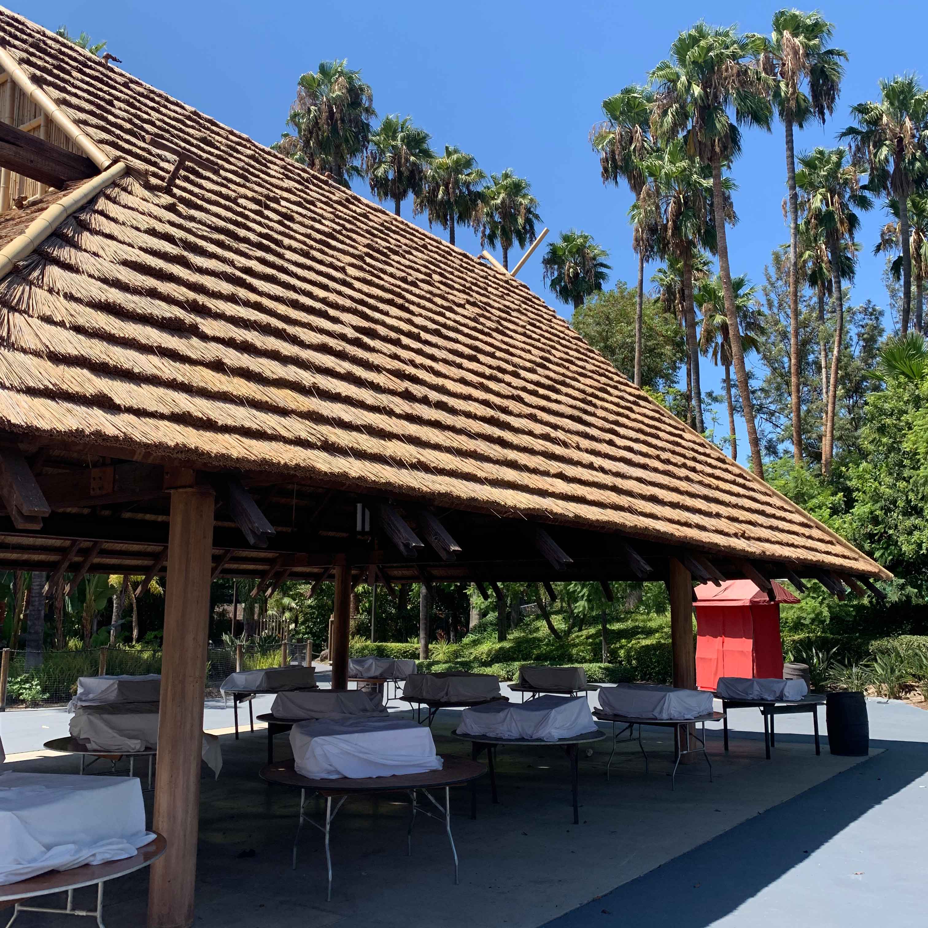 African Reed Thatch For Sale - BYXS Commercial